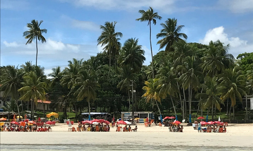 Praia do MAM Salvador: saiba todos os detalhes deste lugar